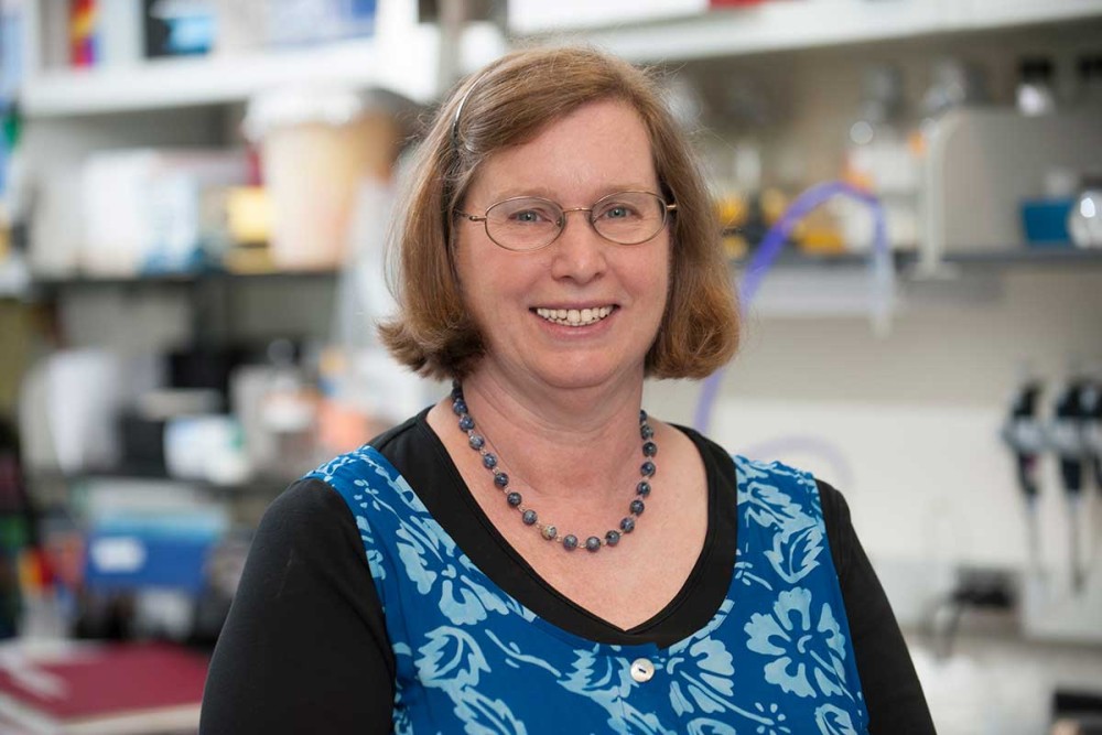 Our Research Impact: Marilyn D. Resh | Memorial Sloan Kettering Cancer ...