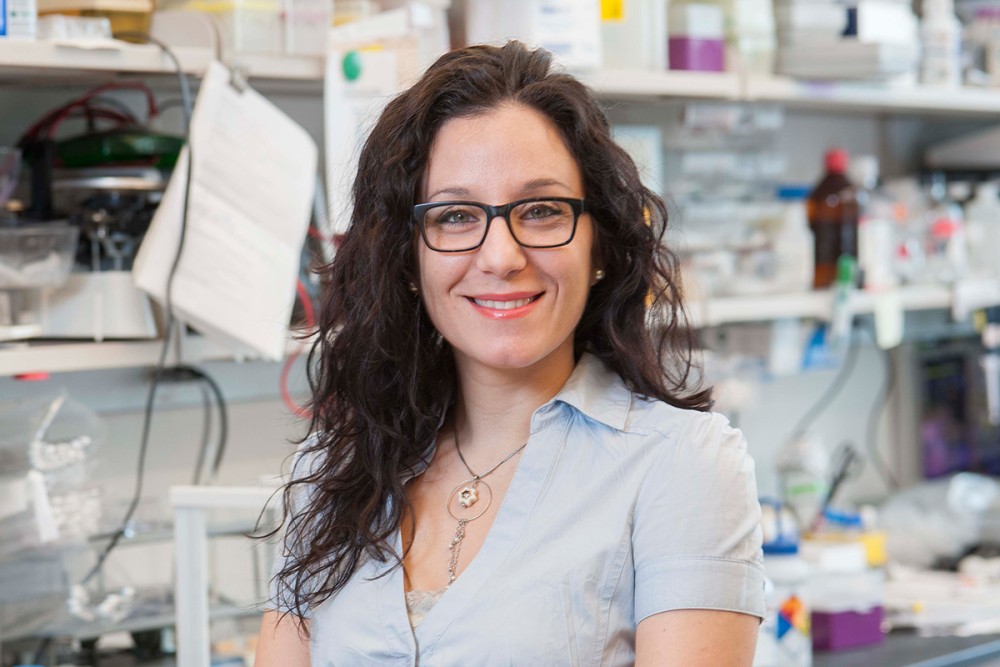 The Kayvan Keshari Lab: Valentina Di Gialleonardo | Memorial Sloan ...