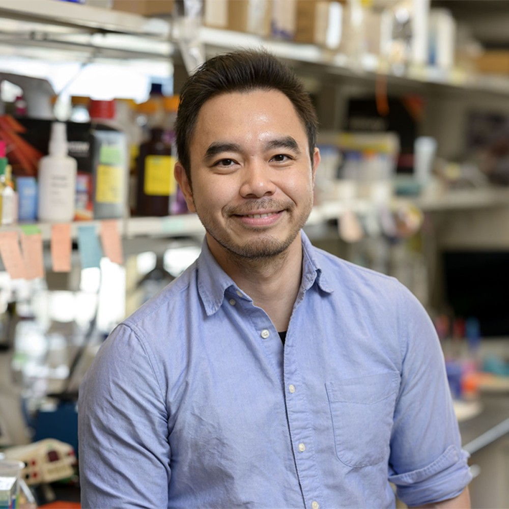 MSK-Led Research Finds Unexpected Link Between Chromosomal Instability ...