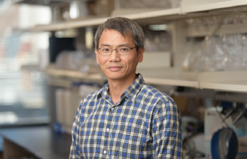 The A. Ari Hakimi Lab: Fengshen (David) Kuo | Memorial Sloan Kettering ...