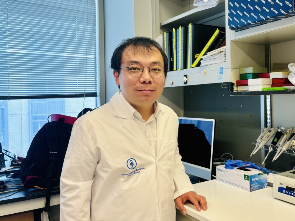 Jian Chen | Sloan Kettering Institute