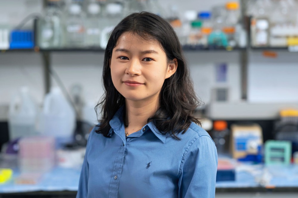 Pei Liu | Sloan Kettering Institute