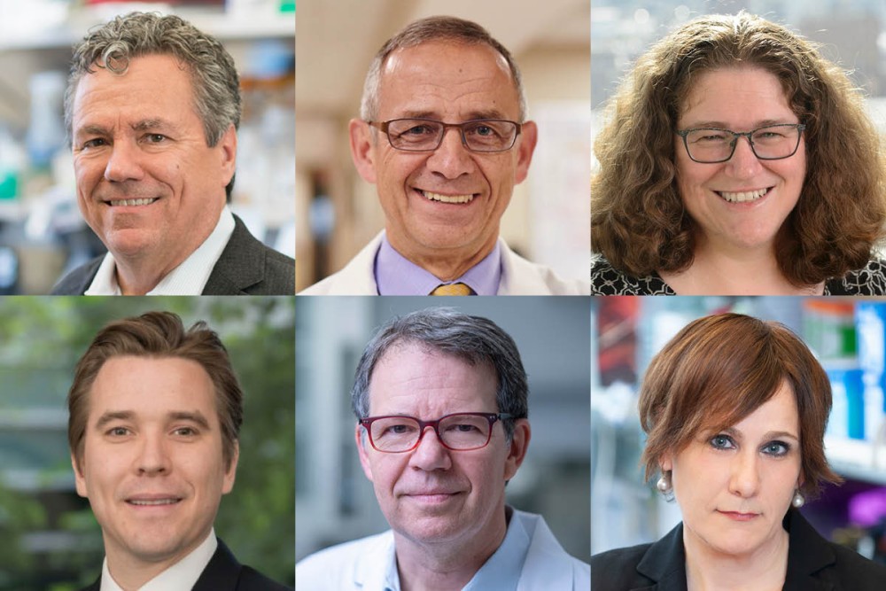 MSK Awards & Appointments October 2023 | Memorial Sloan Kettering ...