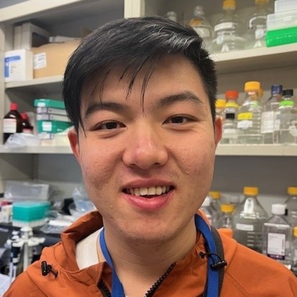 Wentao Zhang | Sloan Kettering Institute