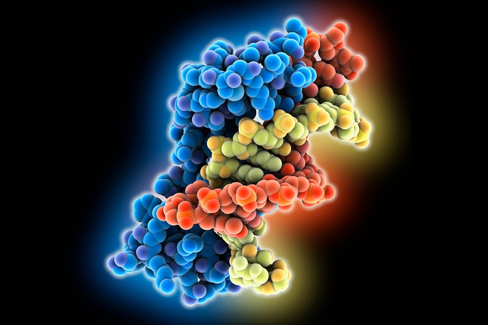 MSK Kids: First in New York City Offering Gene Therapy for Sickle Cell Disease and Beta ...