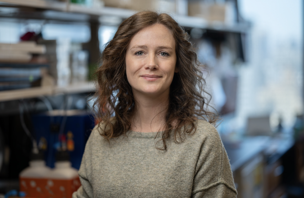 Angelika Aleman | Sloan Kettering Institute