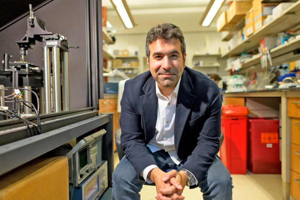 How Reprogrammed Immune Cells Can Use Fructose To Fight Cancer ...