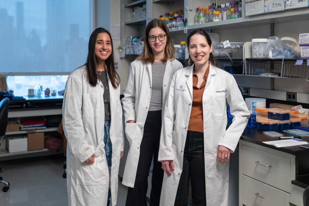 Meet the Winners of the 2025 Kravis WISE Fellowships | Memorial Sloan ...