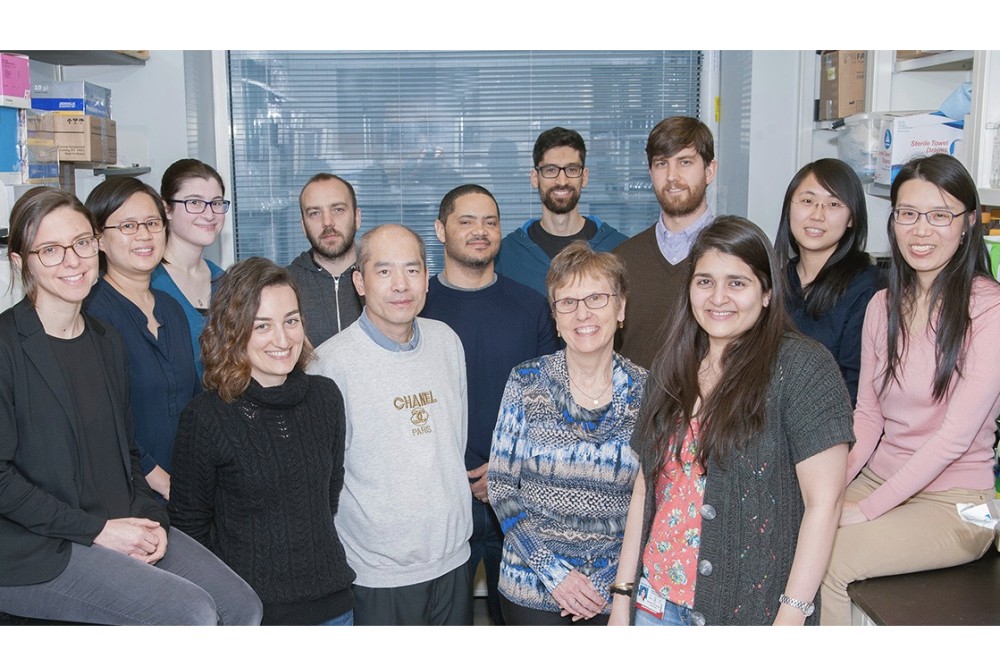 Looking Back, Looking Ahead With MSK Developmental Biologist Alexandra ...