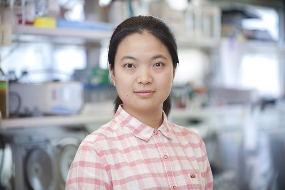 Xiaoyi Li | Sloan Kettering Institute