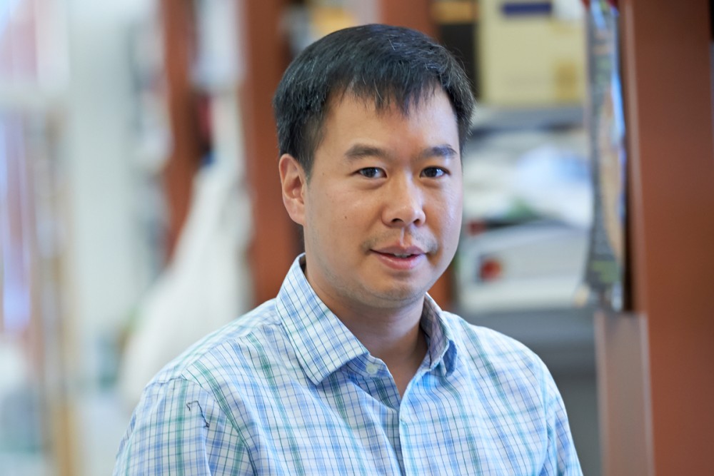 At Work: Immunologist Joseph Sun | Sloan Kettering Institute