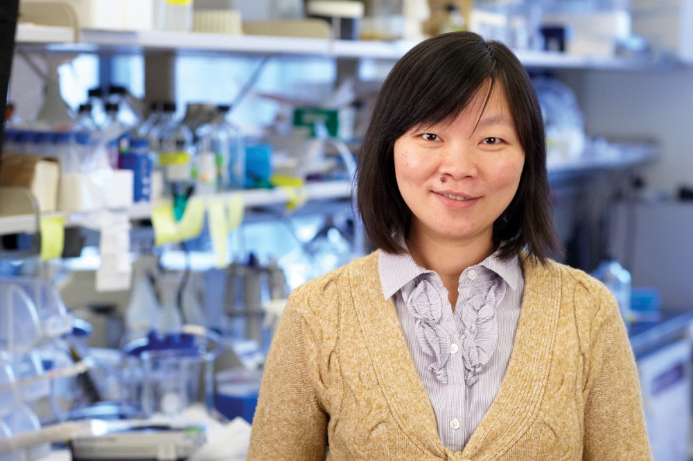 Molecular Studies Provide New Clues about Rare Soft Tissue Sarcoma ...