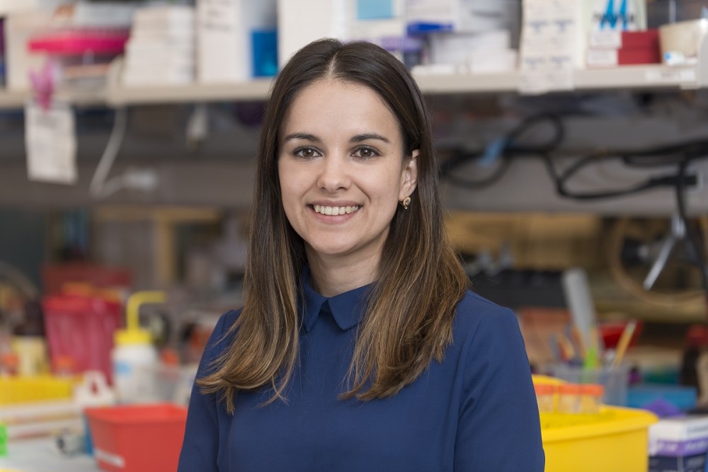 The Alan and Sandra Gerry Metastasis and Tumor Ecosystems Center ...