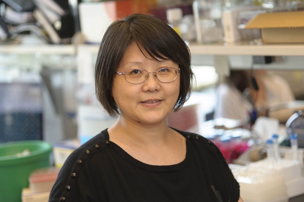 Man Jiang | Sloan Kettering Institute
