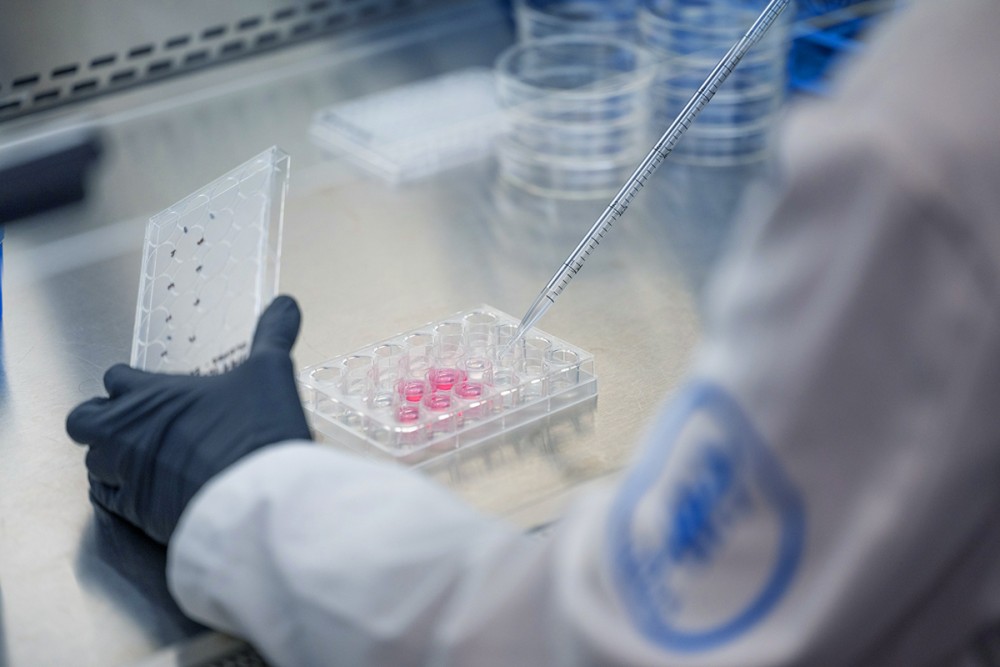 The Olayan Center for Cancer Vaccines at MSK | Memorial Sloan Kettering ...