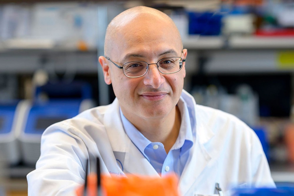 The Josie Robertson Investigators Program | Memorial Sloan Kettering ...