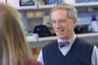 Genetic Counseling and Genetic Testing for Hereditary Cancer at MSK ...