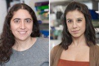 EGFR Targeting Improves Response to Previously Difficult to Treat Colorectal Cancers with KRAS ...