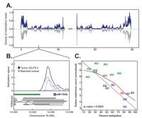 The Samuel Singer Lab: Research Overview | Memorial Sloan Kettering ...
