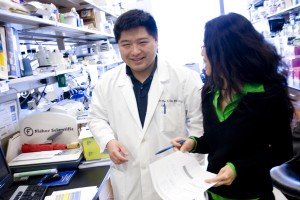 The James Fagin Lab | Memorial Sloan Kettering Cancer Center