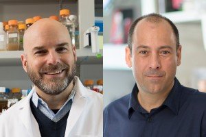 The Christopher Lima Lab | Sloan Kettering Institute