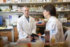 The Michael Glickman Lab | Sloan Kettering Institute