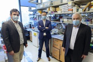 The Neal Rosen Lab | Sloan Kettering Institute