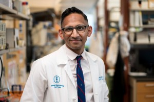 Cancer Researchers Shed Light on How Tertiary Lymphoid Structures Form ...