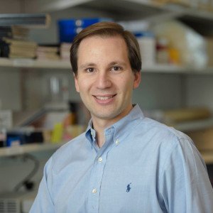 The Christine Iacobuzio-Donahue Lab | Memorial Sloan Kettering Cancer ...
