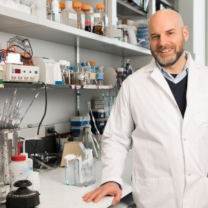 The Scott Keeney Lab | Sloan Kettering Institute