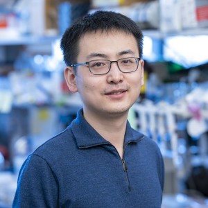 The Yueming Li Lab | Sloan Kettering Institute