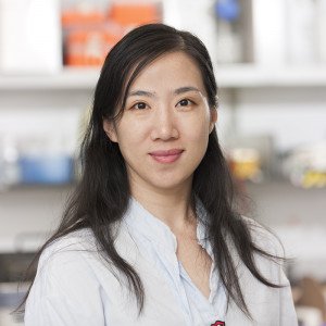 The Xuejun Jiang Lab | Sloan Kettering Institute