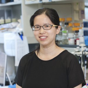 The Meng-Fu Bryan Tsou Lab | Sloan Kettering Institute