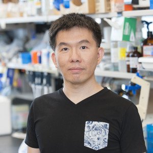 The Richard Kolesnick Lab | Sloan Kettering Institute