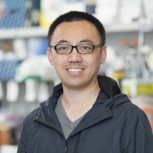 The Alexandros Pertsinidis Lab | Sloan Kettering Institute