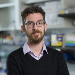 The Eric Lai Lab | Sloan Kettering Institute