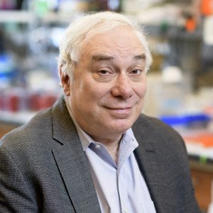 The Neal Rosen Lab | Sloan Kettering Institute