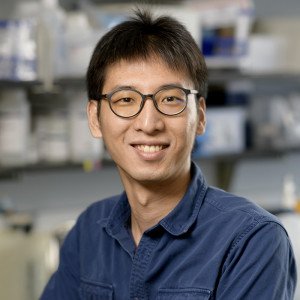 The Eric Lai Lab | Sloan Kettering Institute