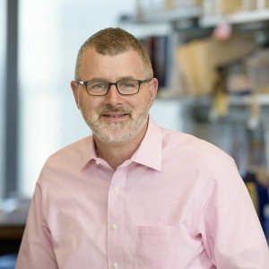 The Tobias Hohl Lab | Memorial Sloan Kettering Cancer Center