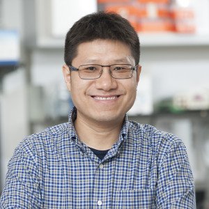 The Xuejun Jiang Lab | Sloan Kettering Institute