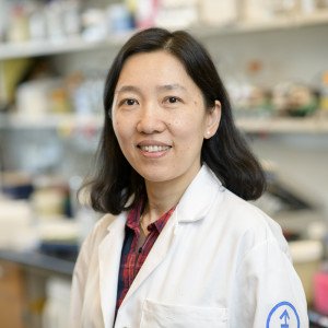 The Scott Lowe Lab | Sloan Kettering Institute