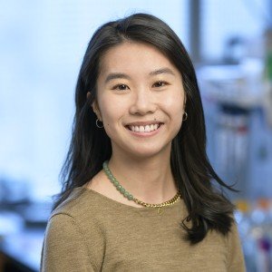 The Joao Xavier Lab | Sloan Kettering Institute