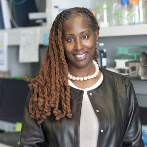 The Andrew Koff Lab | Sloan Kettering Institute