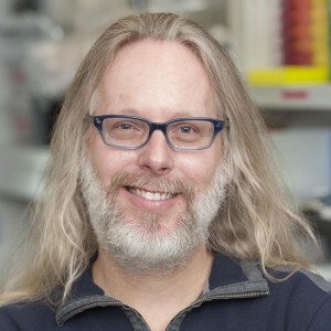 The John Petrini Lab | Sloan Kettering Institute