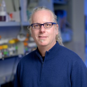 The John Petrini Lab | Sloan Kettering Institute