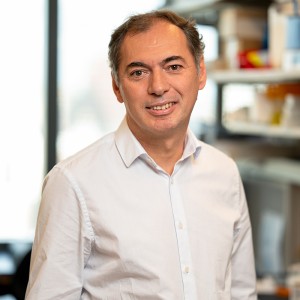 The Kayvan Keshari Lab | Memorial Sloan Kettering Cancer Center