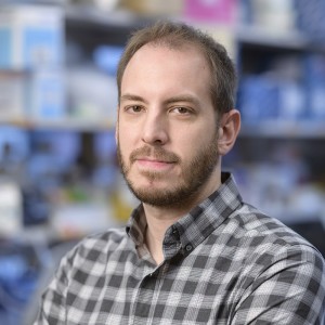 The James Fagin Lab | Memorial Sloan Kettering Cancer Center