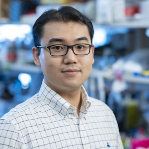 The Yueming Li Lab | Sloan Kettering Institute
