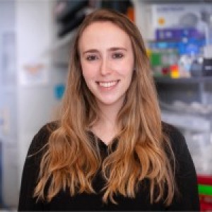 The Xiaolan Zhao Lab | Sloan Kettering Institute