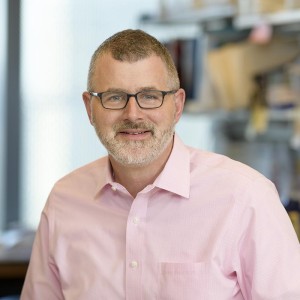 Tobias M. Hohl, MD, PhD - MSK Infectious Diseases Specialist
